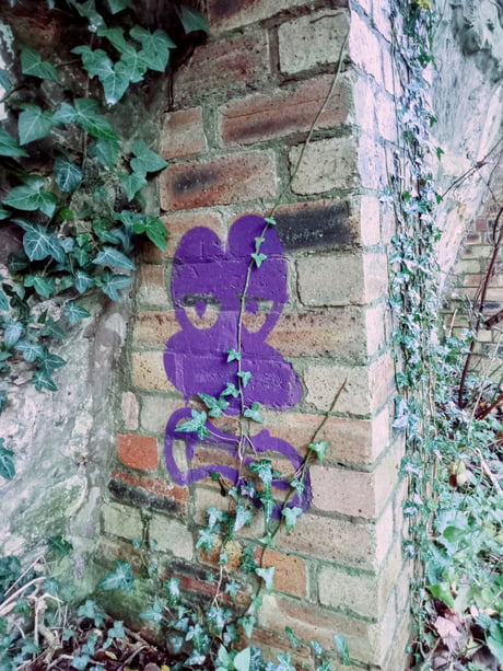 Steve Lavender - 9GAG