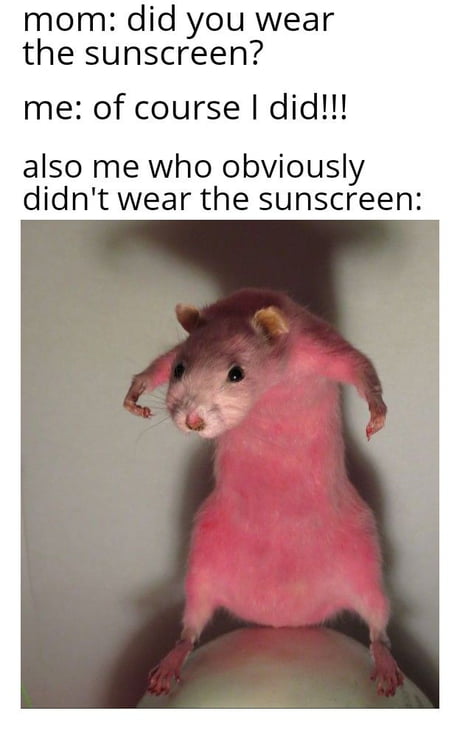 Funny Sunburn Meme