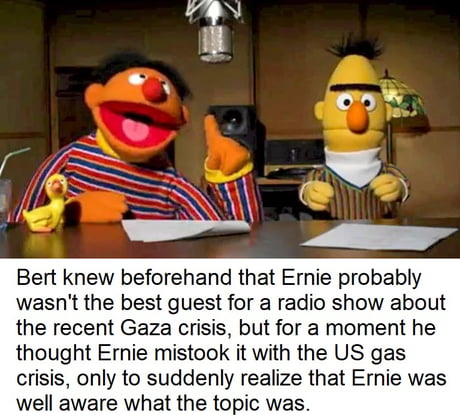 Ernie Meme Wtf