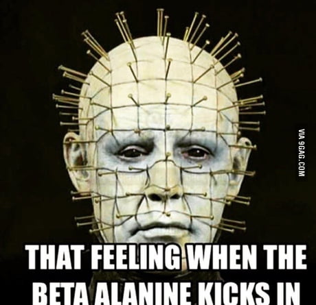 Pre Workout Itch Memes