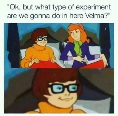 Best Funny Daphne Velma Memes 9gag