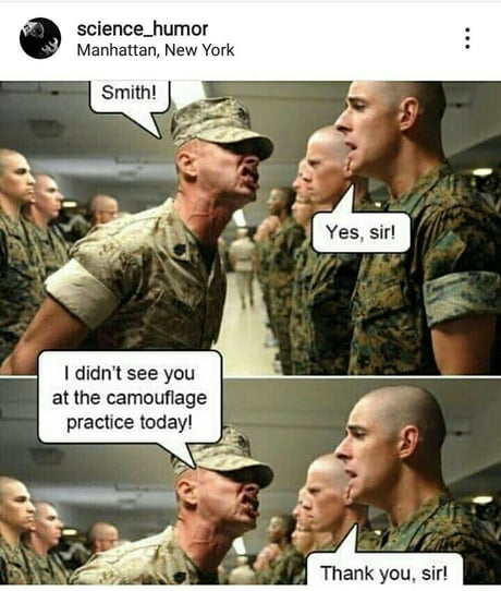 Military Puns