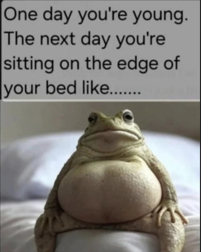 How do you do my fellow frogs? - 9GAG