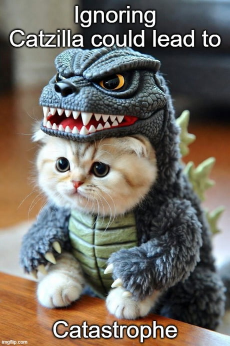 Best Funny catastrophe Memes - 9GAG