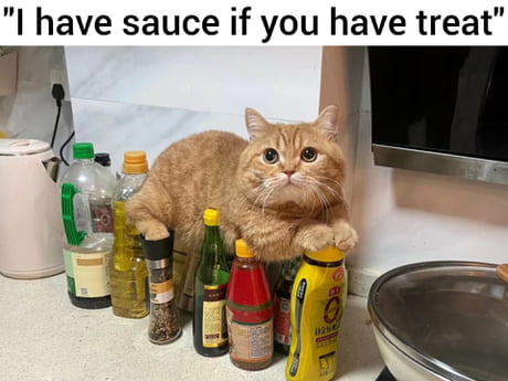 Brown Sauce Memes Lilia Mc Naught, B.Sc., B.Eng., RHN | It's So Me!