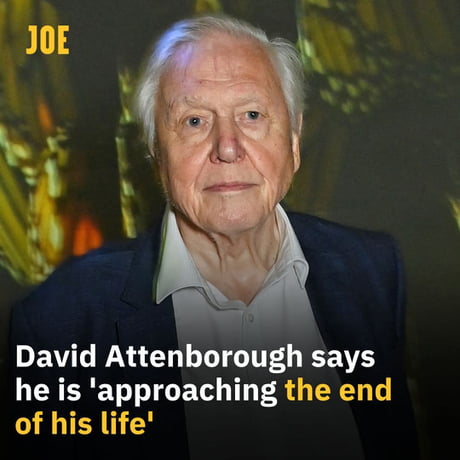 David Attenborough Memes David Attenborough Memes And Images Imgur