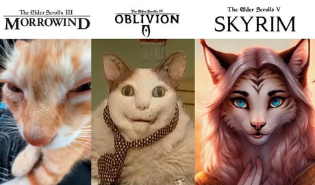 Best Funny morrowind Memes - 9GAG