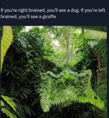 Best Funny brain Memes - 9GAG