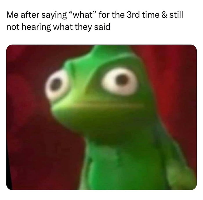 My ears have left the chat - 9GAG