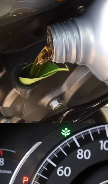 Best Funny oil Memes - 9GAG