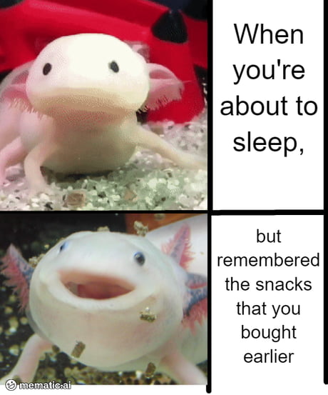 Best Funny axolotl Memes - 9GAG