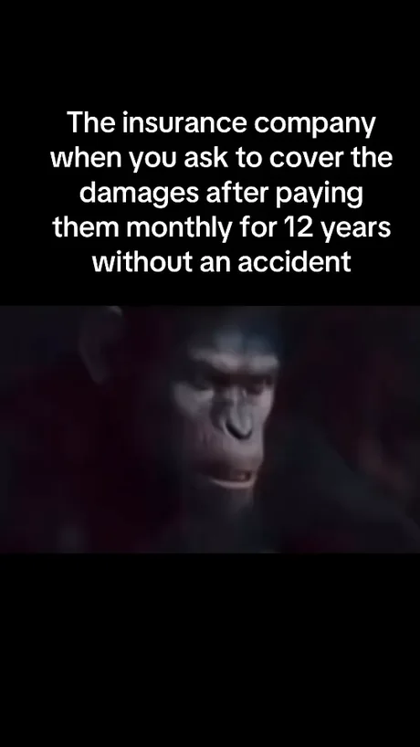 Monkey Business Memes