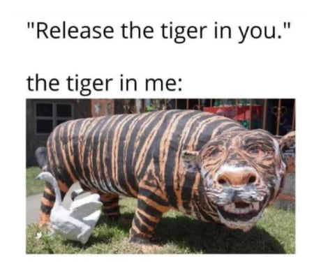 Best Funny tiger Memes - 9GAG