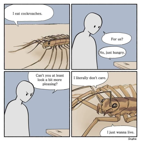 Funny Cockroach Memes Don't Worry, It's Just A Palmetto Bug Funny