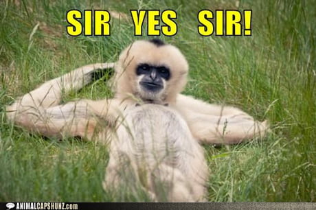 Best Funny hehe Memes - 9GAG