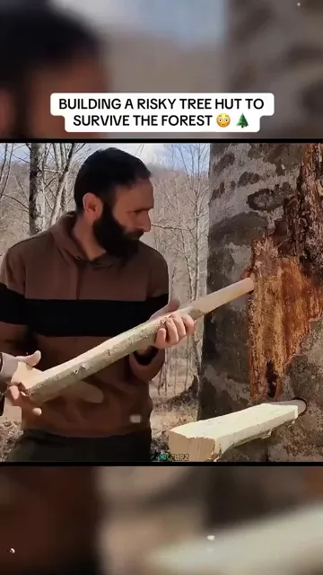 Funny Treehouse Memes