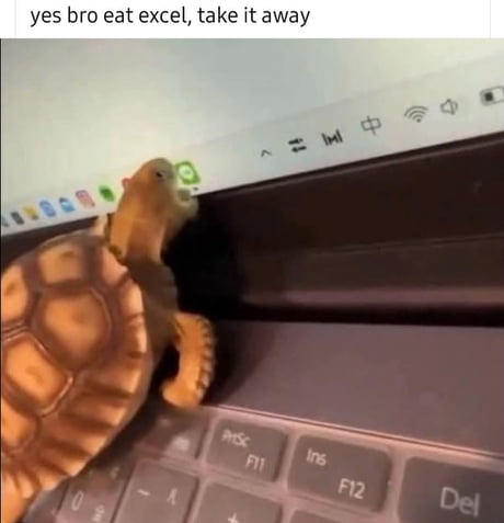 Best Funny excel Memes - 9GAG