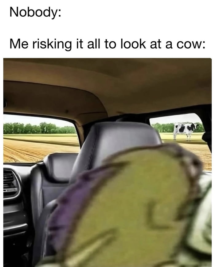 Did you know that Brown cows produce chocolate milk? - 9GAG