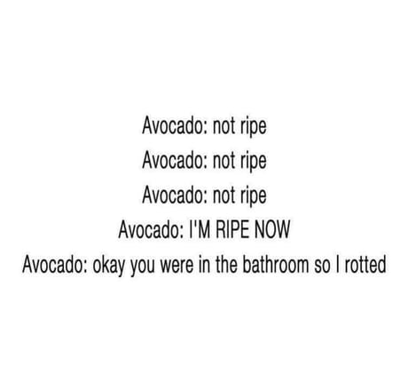 Best Funny avocado Memes - 9GAG
