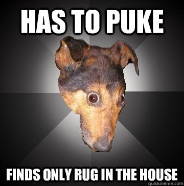 Best Funny puke Memes - 9GAG
