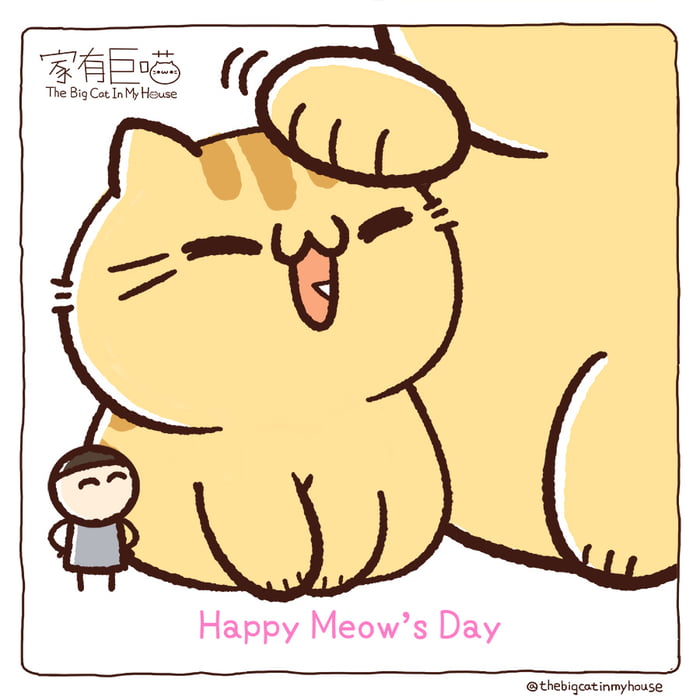 Happy Meow's Day - 9GAG