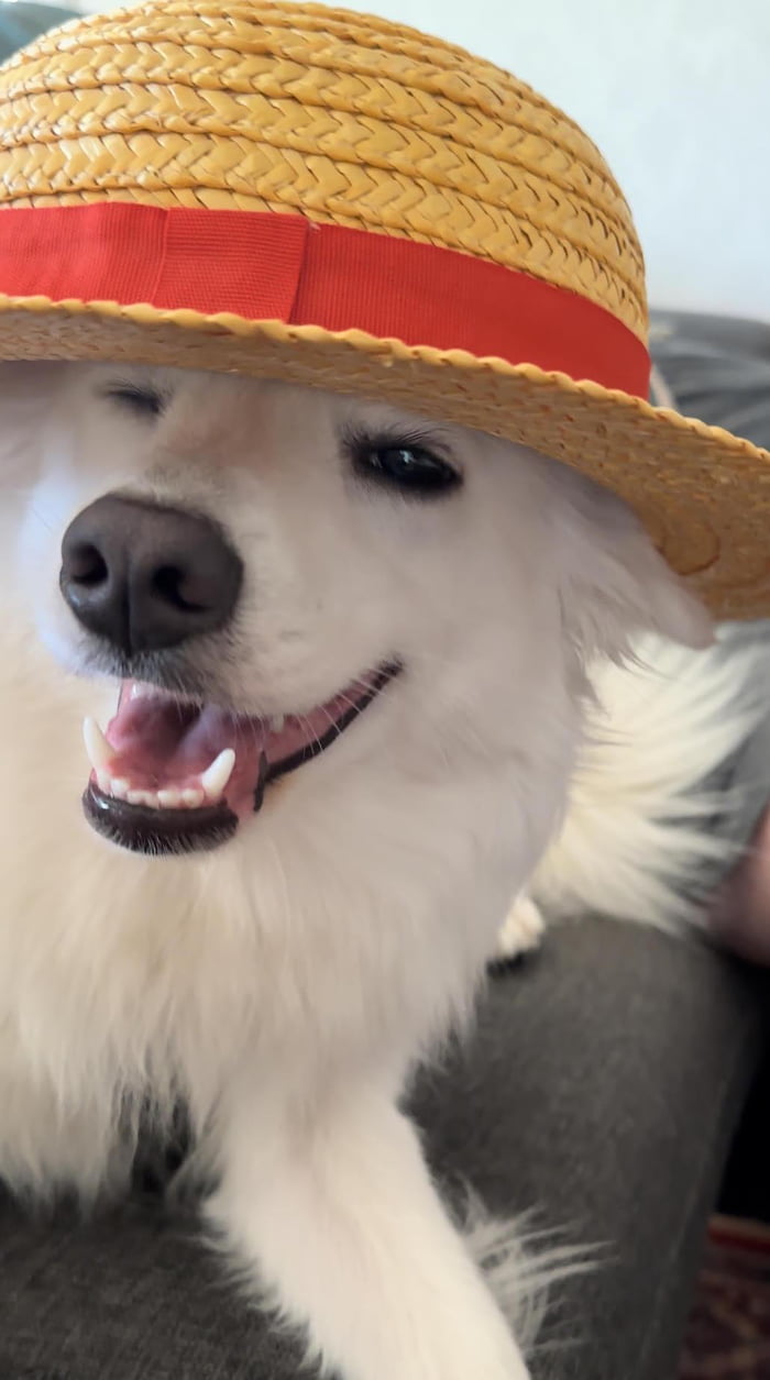 Lily got her sun hat and looking fabulous - 9GAG