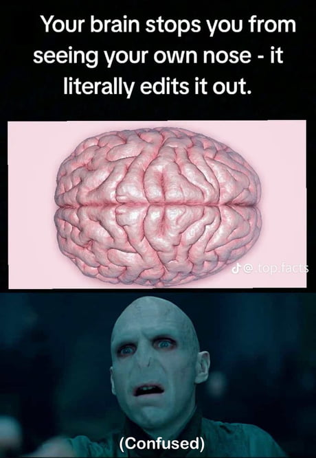 Lord Voldemort Meme Image Tagged In Harry Potter,voldemort Imgflip