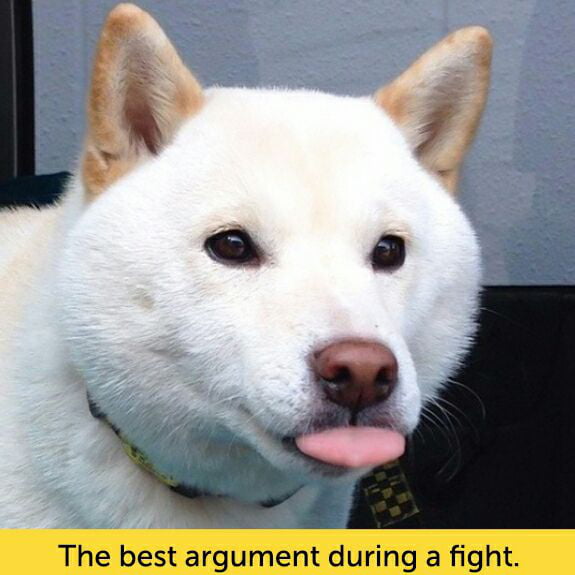 The best argument during a fight. - 9GAG