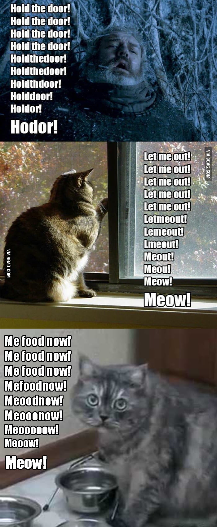 Meow!(Hodor) - 9GAG