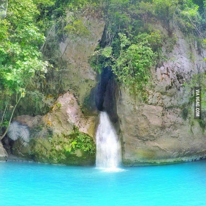 Only for the green minded - 9GAG