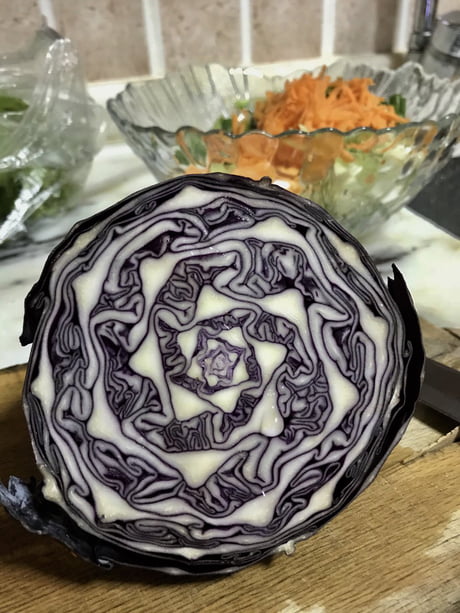 Fibonacci Sequence In Food