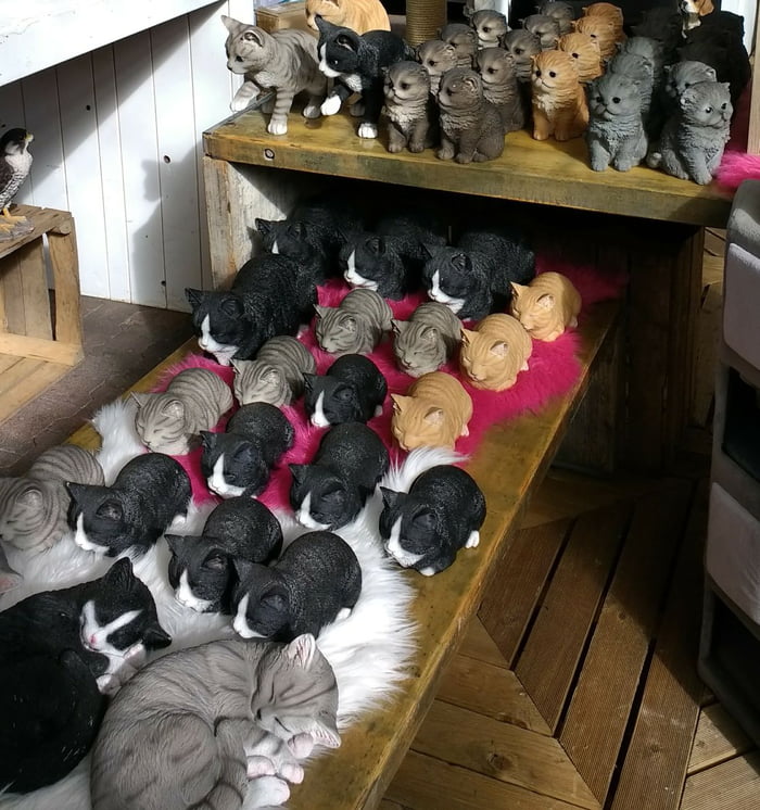 Can you spot the real one? - 9GAG