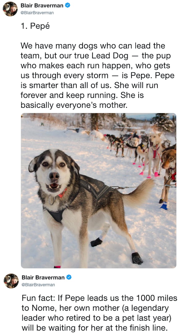 Musher Introduces Her 20 Sled Dogs With Colorful Personalities - 9GAG