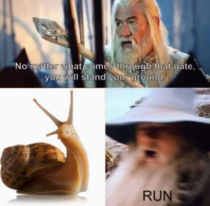 Grab the money and run - 9GAG