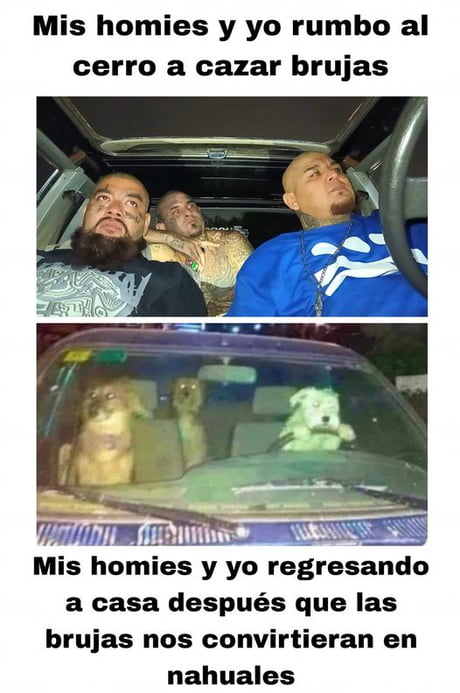 Memes Con Cholos