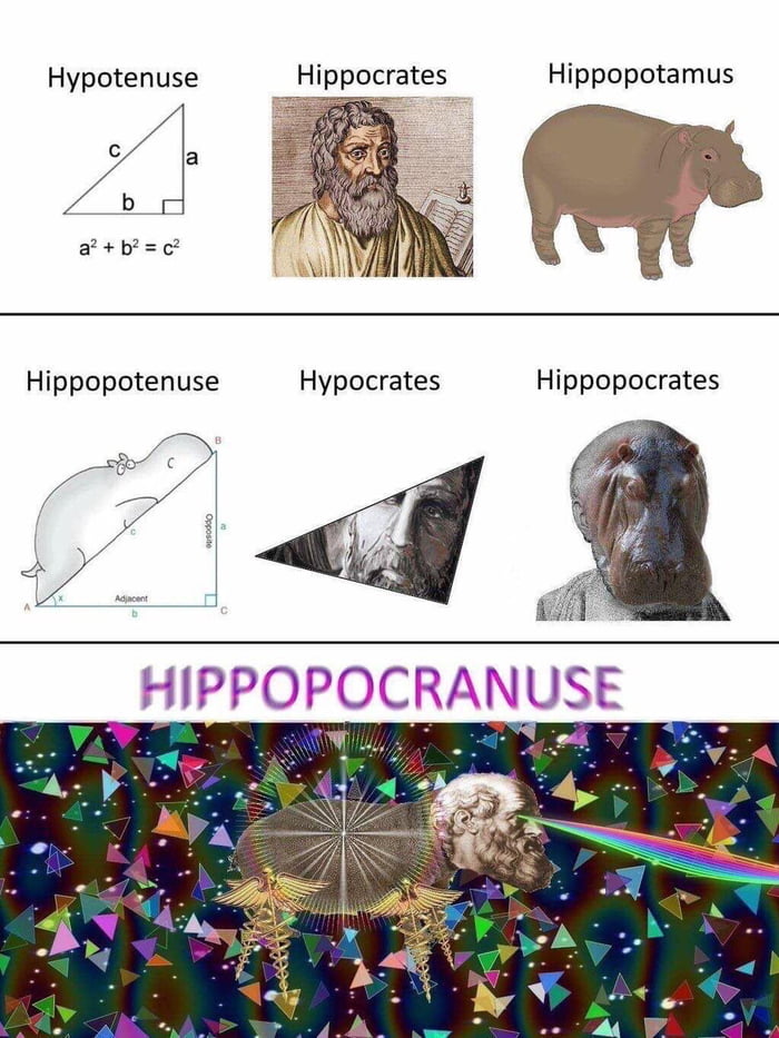 I wish I was high on Potenuse - 9GAG