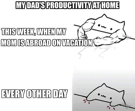 Best Funny bongo cat Memes - 9GAG