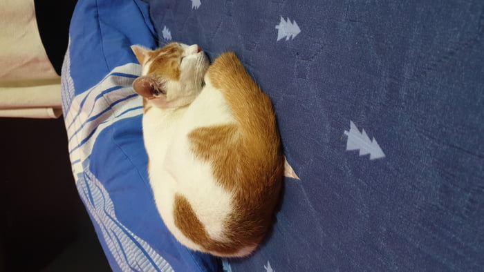 Sleeping 😴 - 9GAG