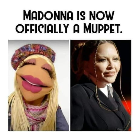 Best Funny muppet Memes - 9GAG