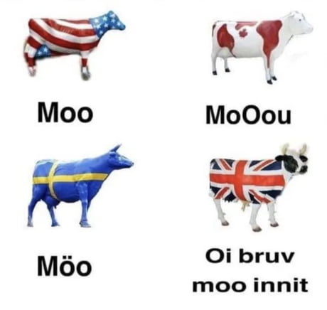 Best Funny moo Memes - 9GAG
