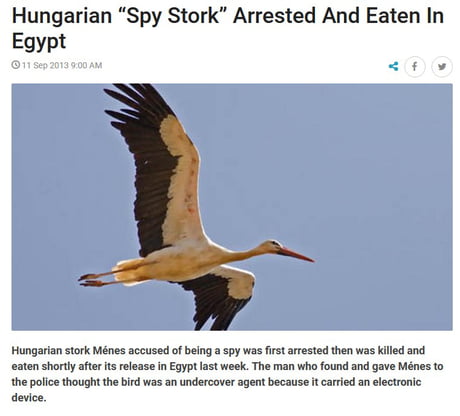 Best Funny stork Memes - 9GAG