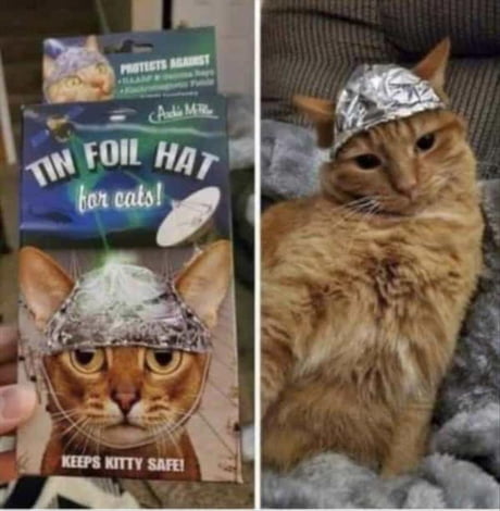 Best Funny maga morons Memes - 9GAG