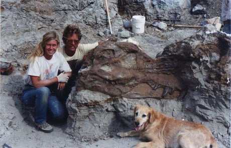 Paleontologists, Peter Larson & Sue Hendrickson, next to ‘Sue’. One of ...