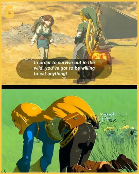 Link Memes