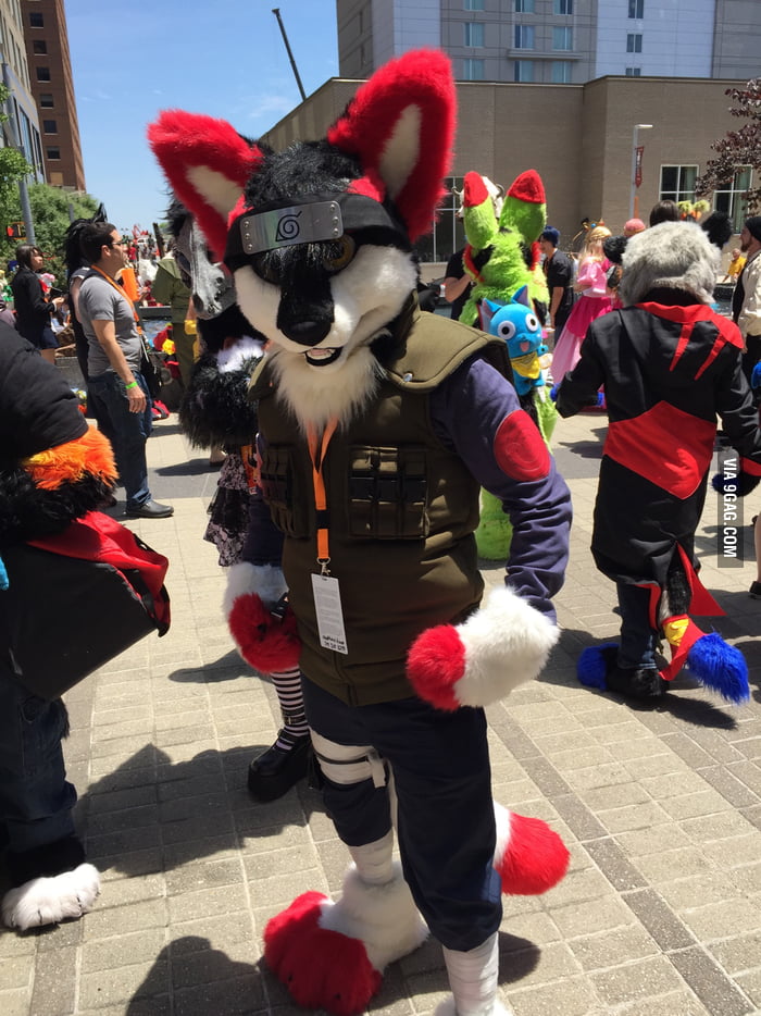 Kakashi Furry. - 9GAG