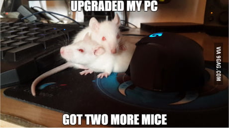 Best Gaming Mouse Meme Best Gaming Mouse 2025 | Tom's Hardware