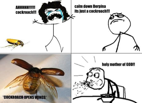 Flying Cockroach 9gag