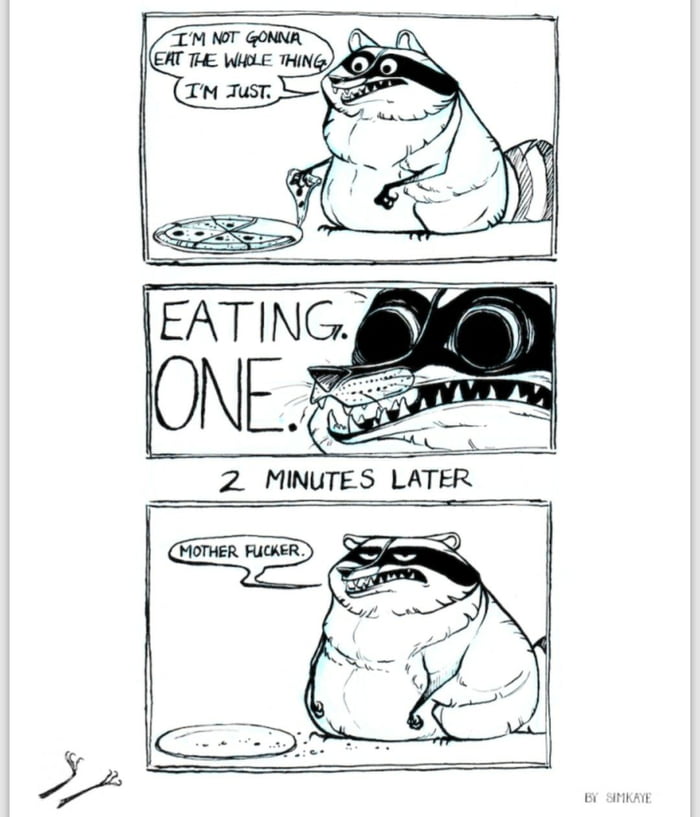 Relatable Raccoon by Artist Simkaye - 9GAG