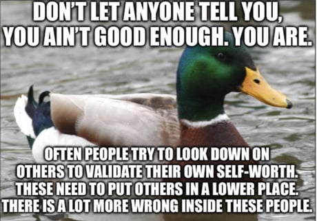 Best Funny malicious advice mallard Memes - 9GAG