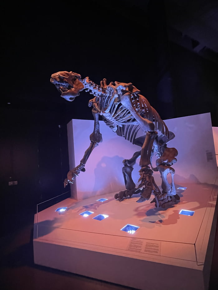This is the ridiculously powerful, Giant Ground Sloth! They towered ...